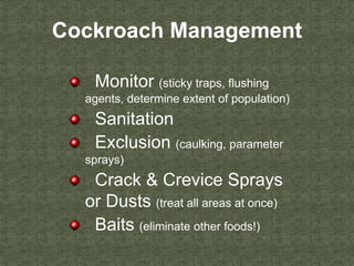 Cockroach Distribution and classification | PPTX | Birds | Pets