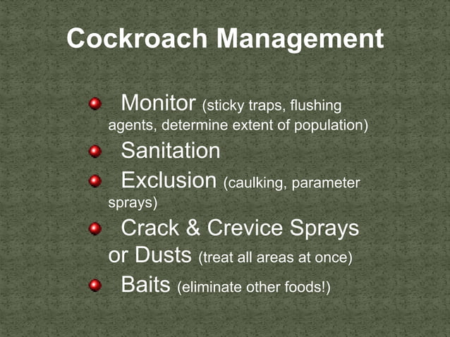 Cockroach Distribution and classification | PPTX | Birds | Pets