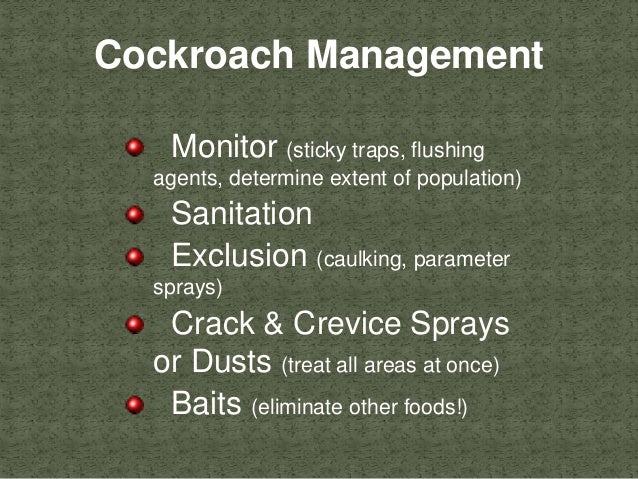 Cockroach Distribution and classification