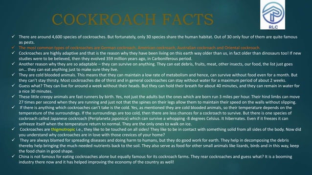 Cockroach | PPTX | Beekeeping | Hobbies & Interests