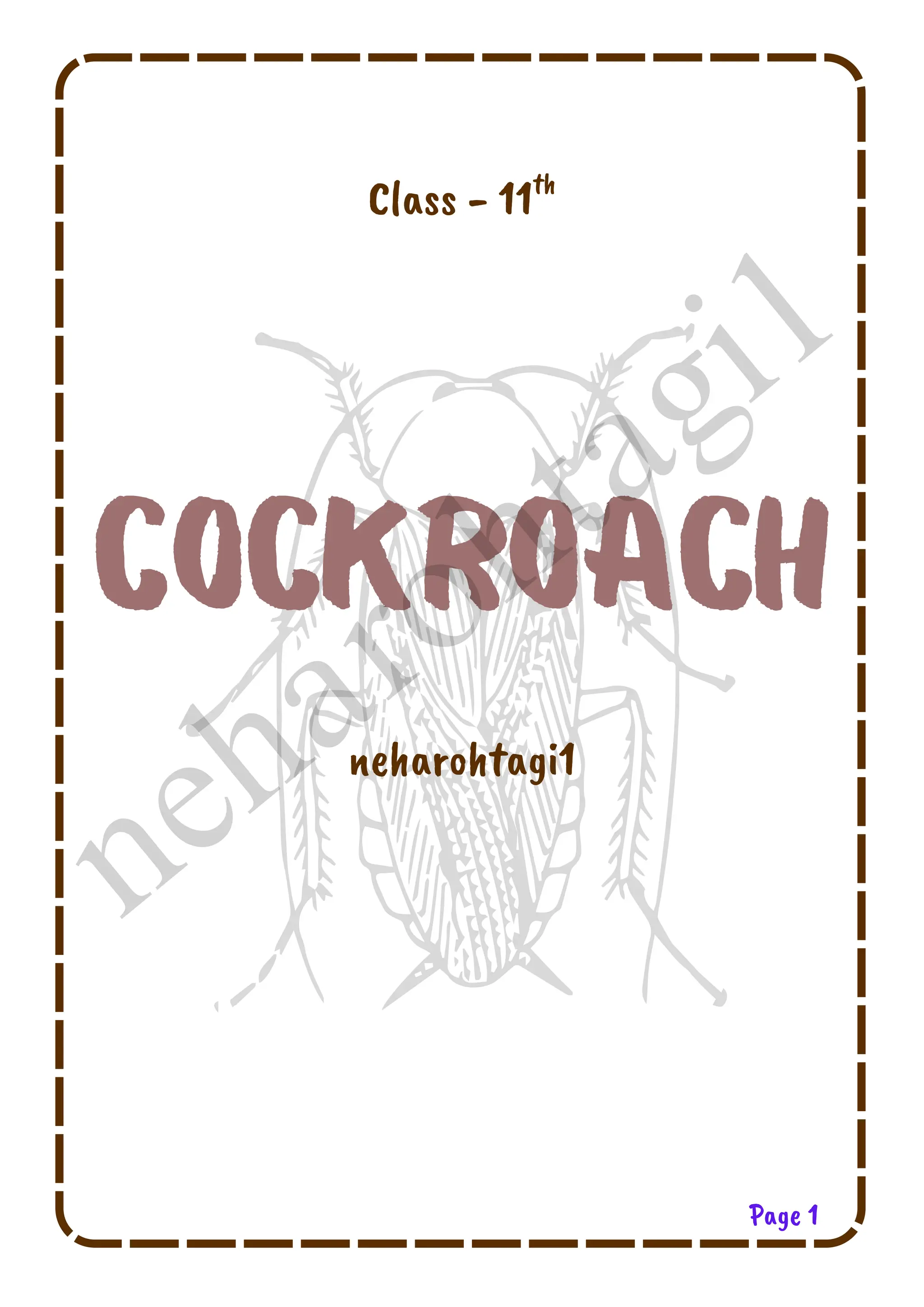 Cockroach Class 11th NEET CBSE NCERT Biology | PDF