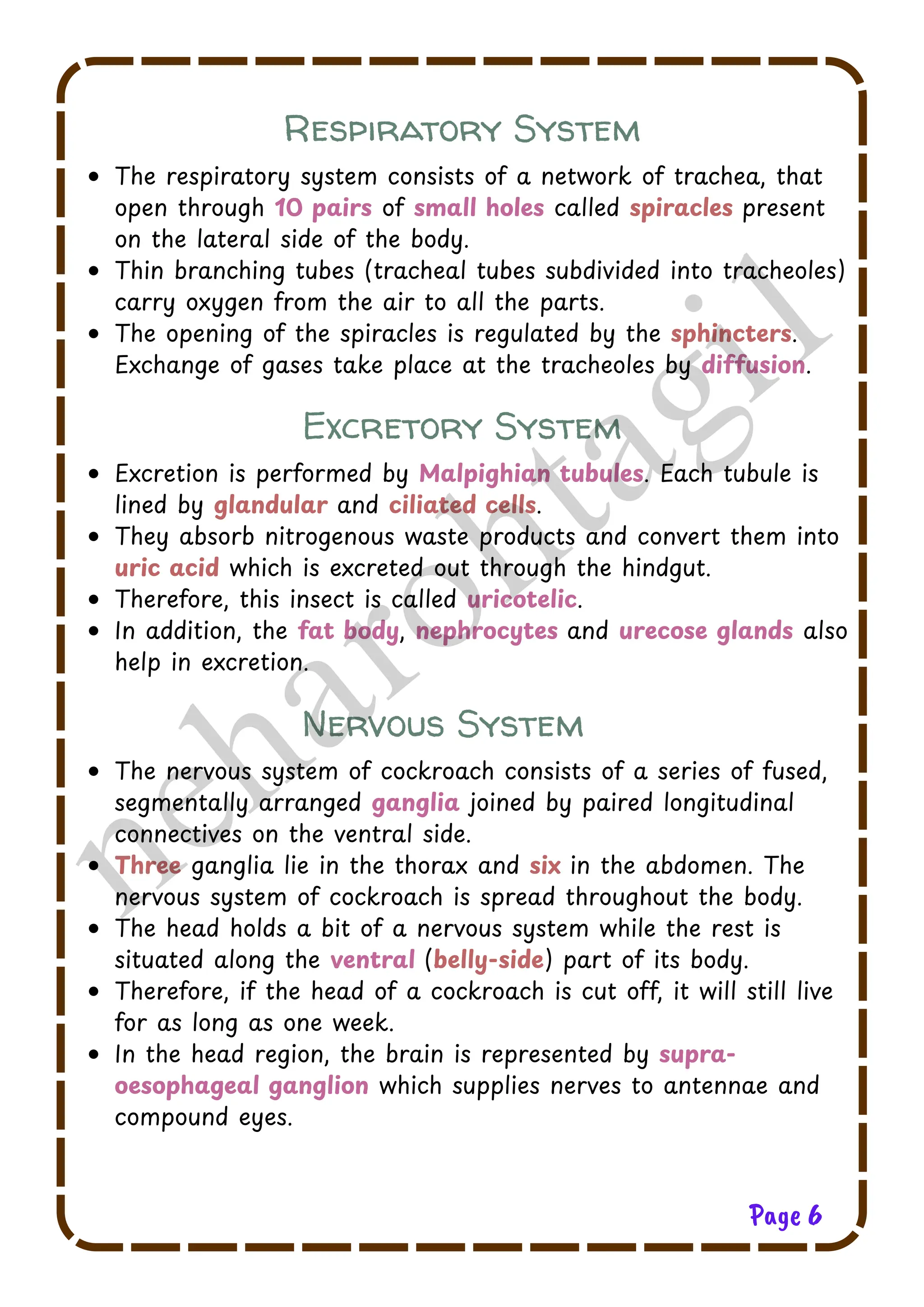 Cockroach Class 11th NEET CBSE NCERT Biology | PDF