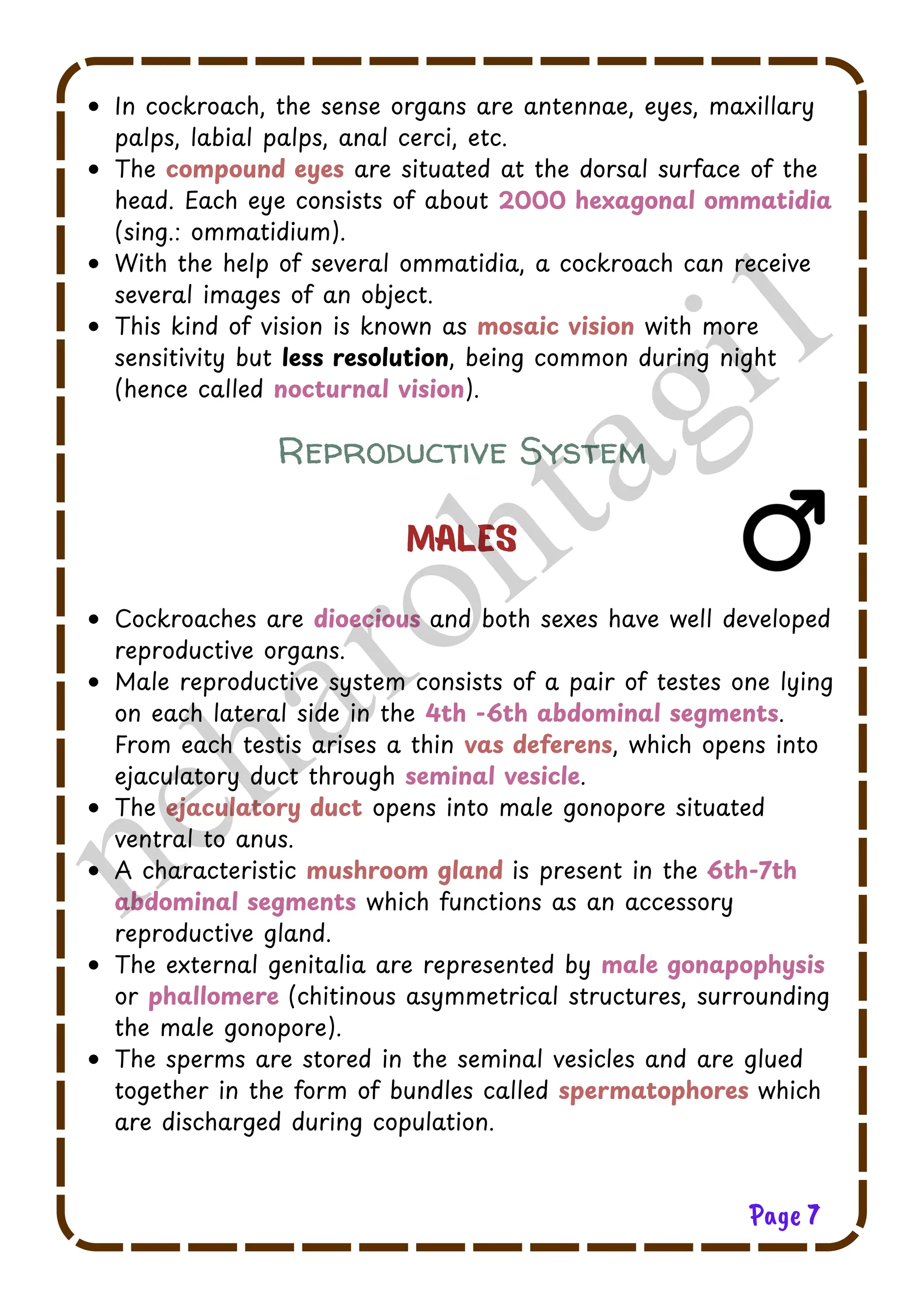 Cockroach Class 11th NEET CBSE NCERT Biology | PDF
