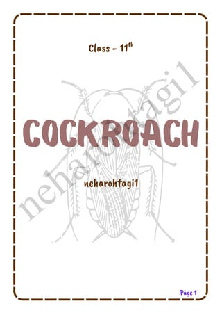 Cockroach Class 11th NEET CBSE NCERT Biology | PDF