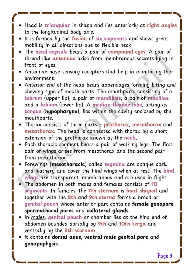 Cockroach Class 11th NEET CBSE NCERT Biology | PDF