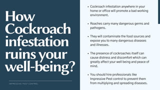 Cockroach control brisbane | PPT