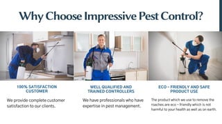 Cockroach control brisbane | PPT
