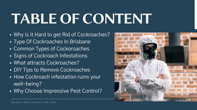 Cockroach control brisbane | PPT