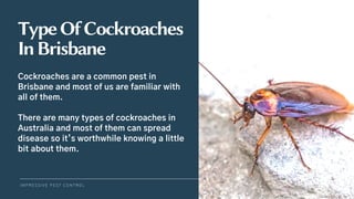 Cockroach control brisbane | PPT