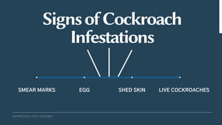 Cockroach control brisbane | PPT
