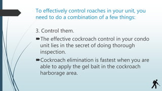 How to Control Cockroaches in Condo | PPT
