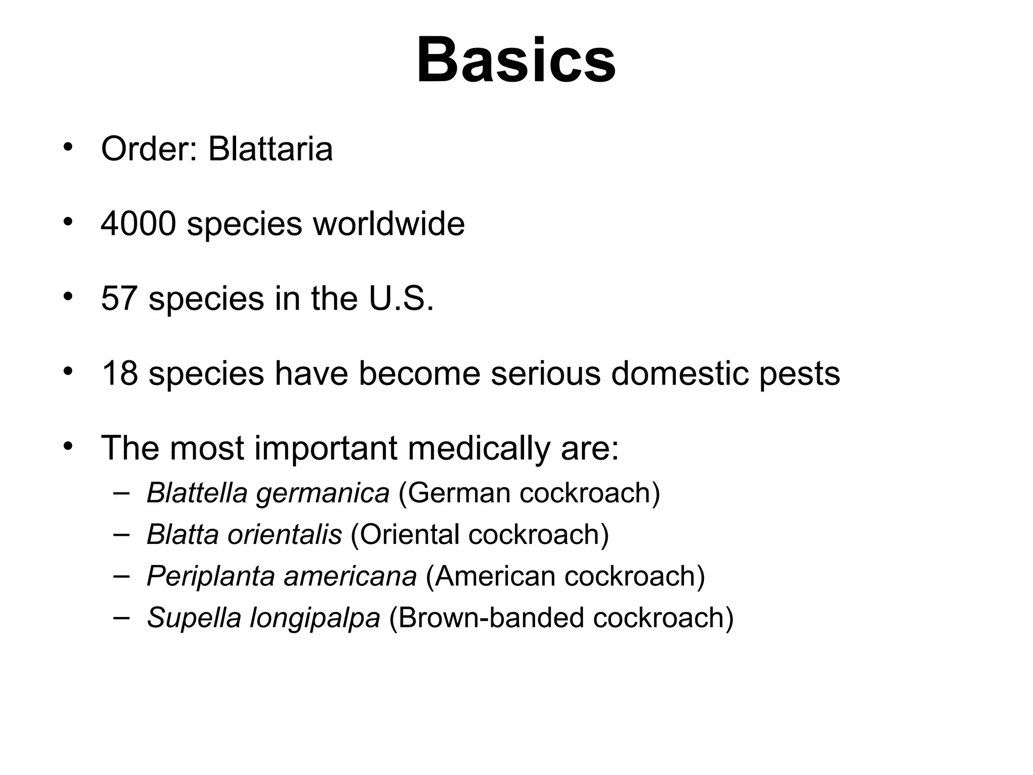 Cockroaches and disease | PPT