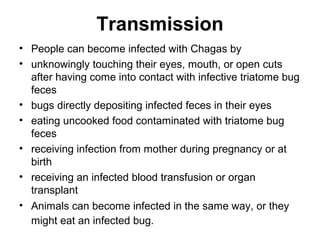 Cockroaches and disease | PPT