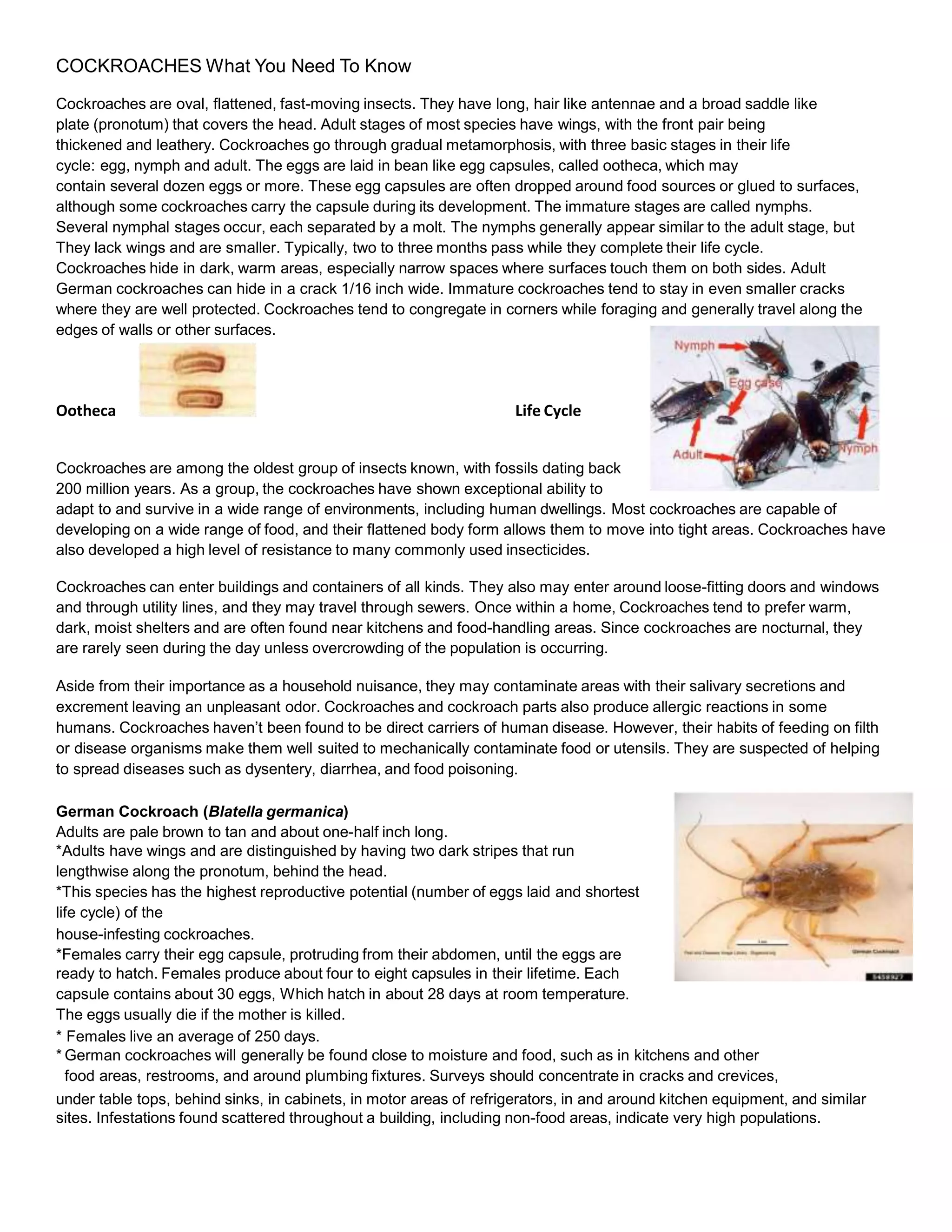 COCKROACHES What You Need to Know.pptx