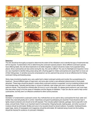 COCKROACHES What You Need to Know.pptx