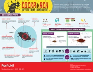 Cockroach Infestations in Malaysia - Facts | PDF | Food & Drink