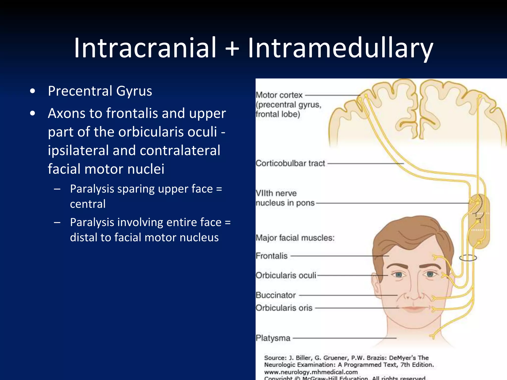 COCLIA-Facial Reanimation.pptx
