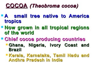 Coco processong | PPT