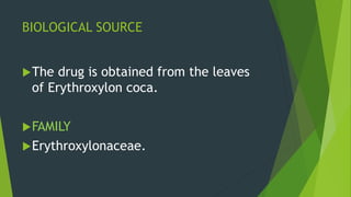 PHARMACOGNOSY OF COCO (Erythroxylon coca).pptx