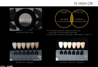 COCO Lux - Practical guide | PDF