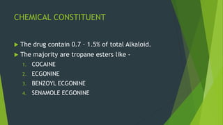 pharmacognosy of coca | PPTX