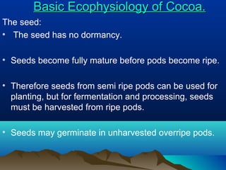 Cocoa | PPT