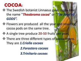 Cocoa Basic Chemistry | PPTX
