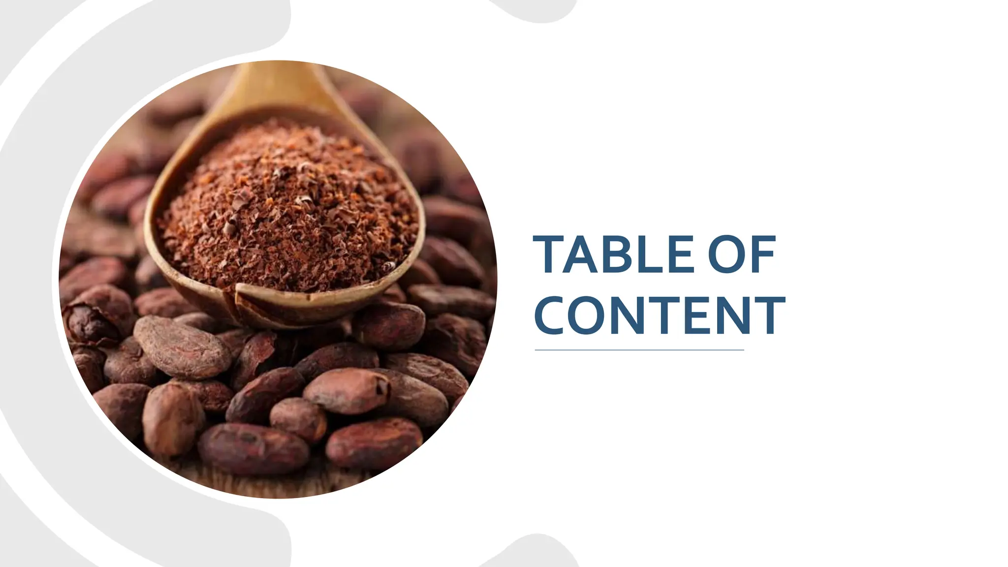 Cocoa Bean Processing Plant Project Report.pptx