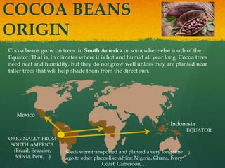 Cocoa beans | PPTX