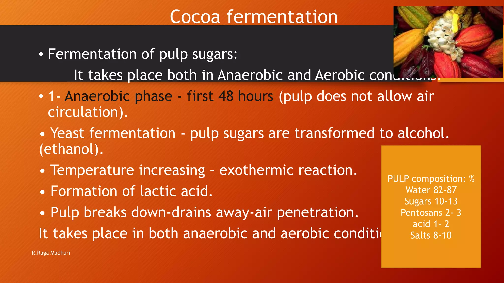 Cocoa fermentation | PPTX