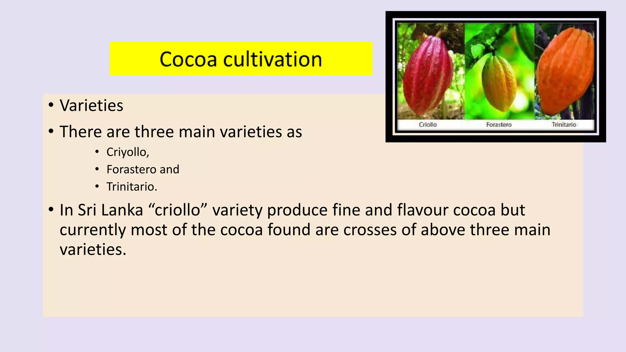 Cocoa presentation part 1 | PPT