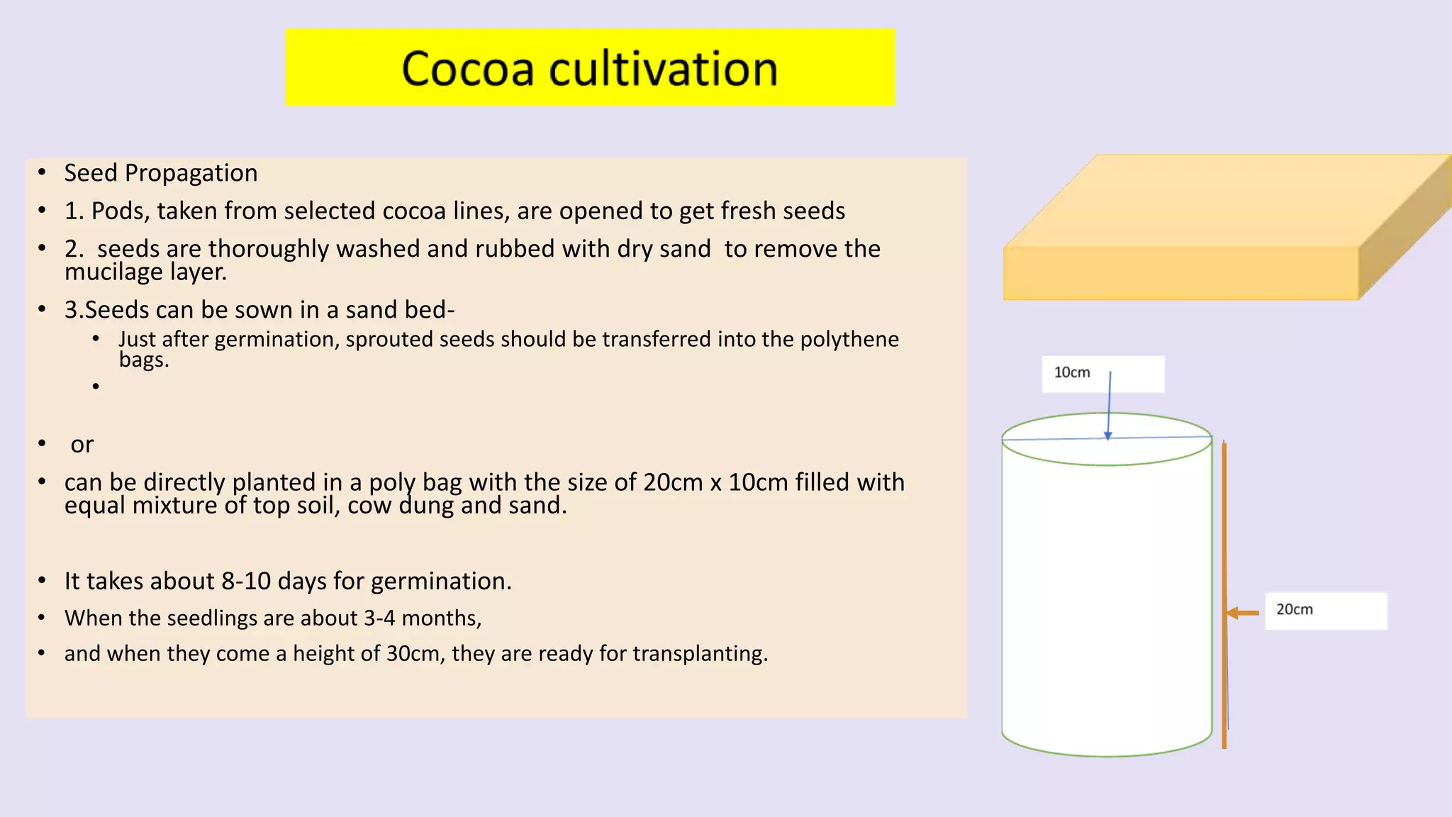 Cocoa presentation part 1 | PPT