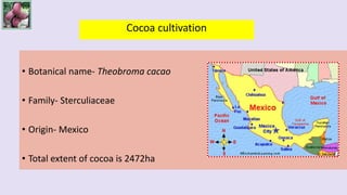 Cocoa presentation part 1 | PPT