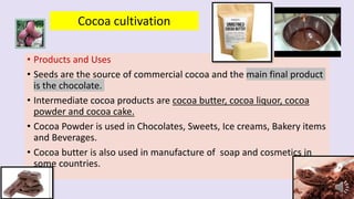 Cocoa presentation part 1 | PPT