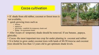 Cocoa presentation part 1 | PPT