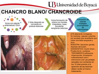 Cocobacilos y bacilos gram negativos | PPTX