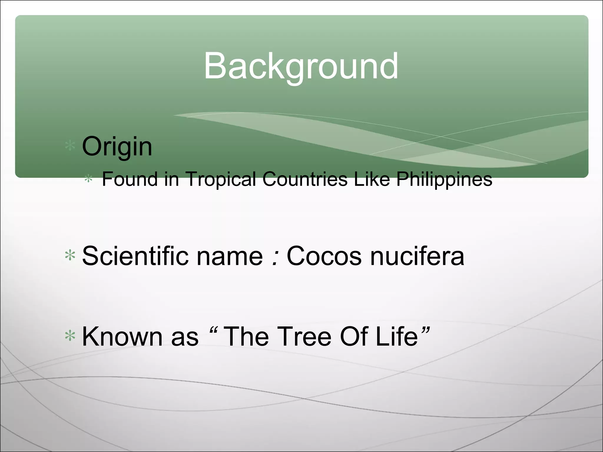 Coconut.tree ppt | PPT