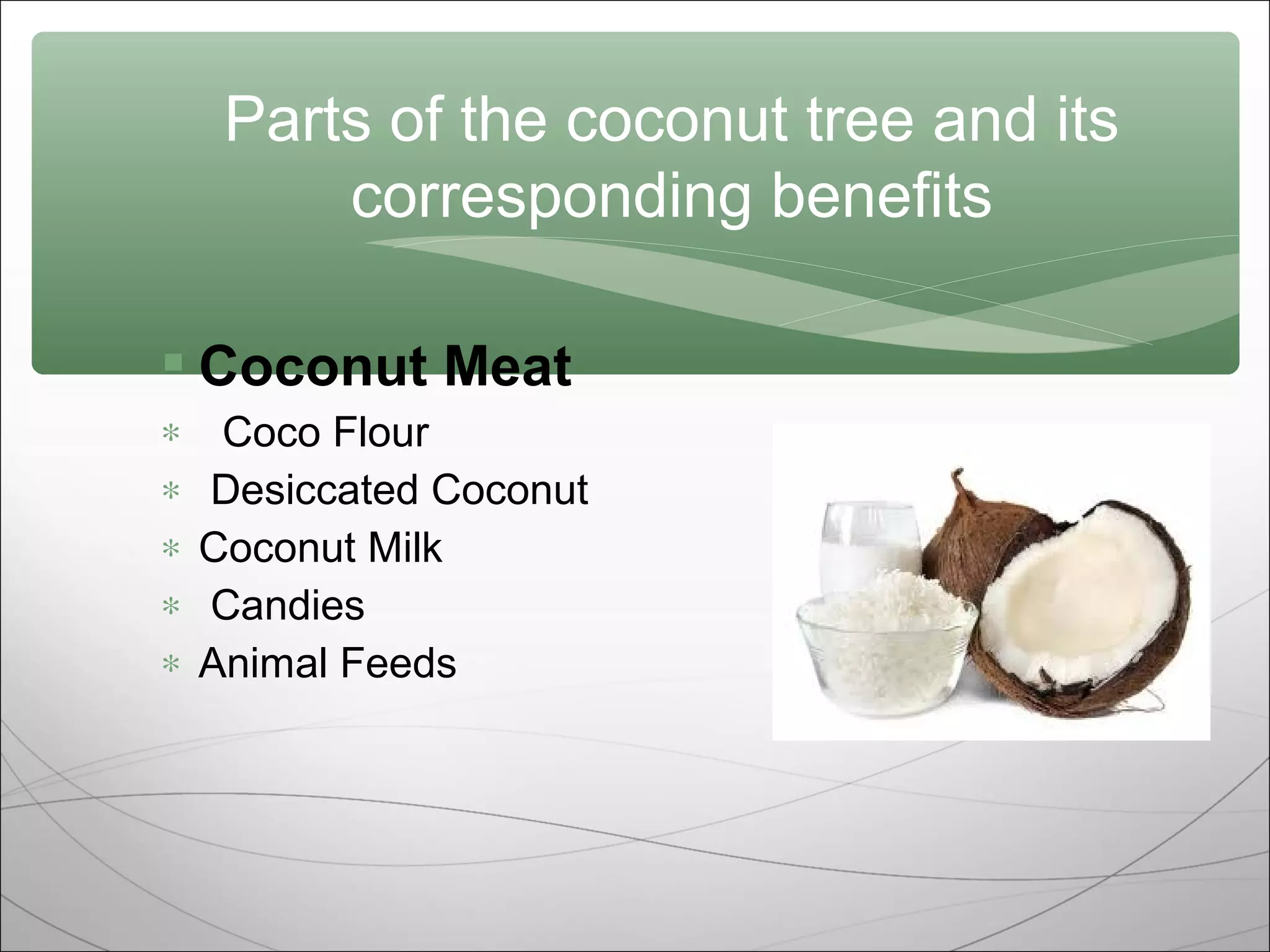 Coconut.tree ppt | PPT