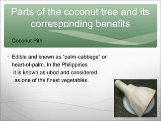 Coconut.tree ppt | PPT