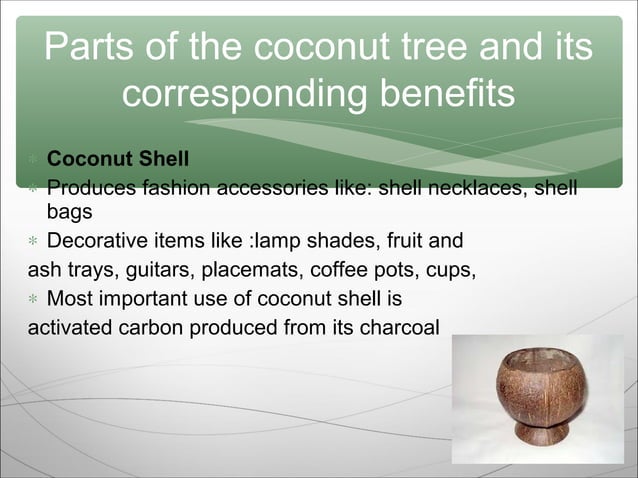 Coconut.tree ppt | PPT | Food & Drink