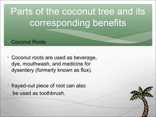 Coconut.tree ppt | PPT