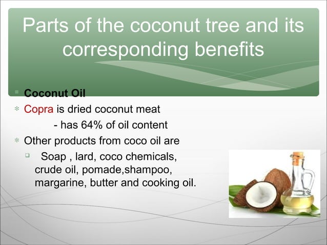 Coconut.tree ppt | PPT | Food & Drink