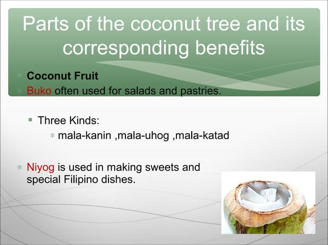 Coconut.tree ppt | PPT | Food & Drink