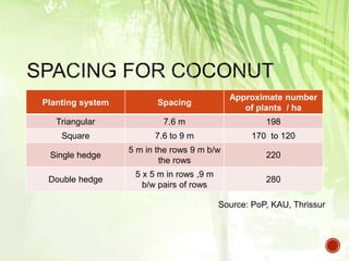 CULTIVATION PRACTICES OF COCONUT | PPTX