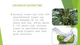 coconut.pptx