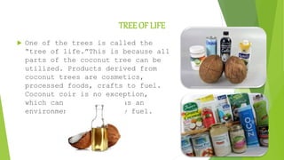coconut.pptx
