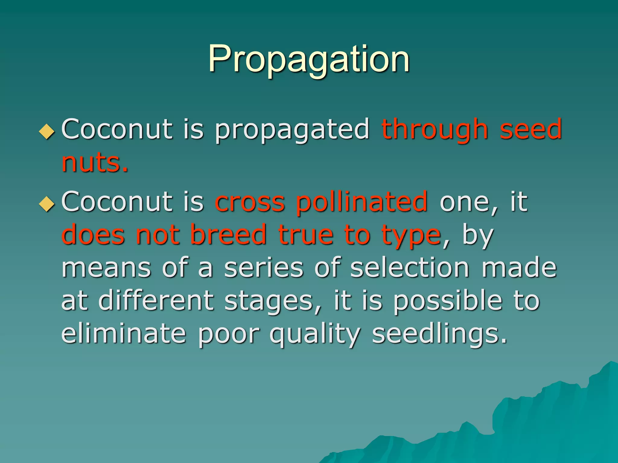 coconut-ppt.pdf