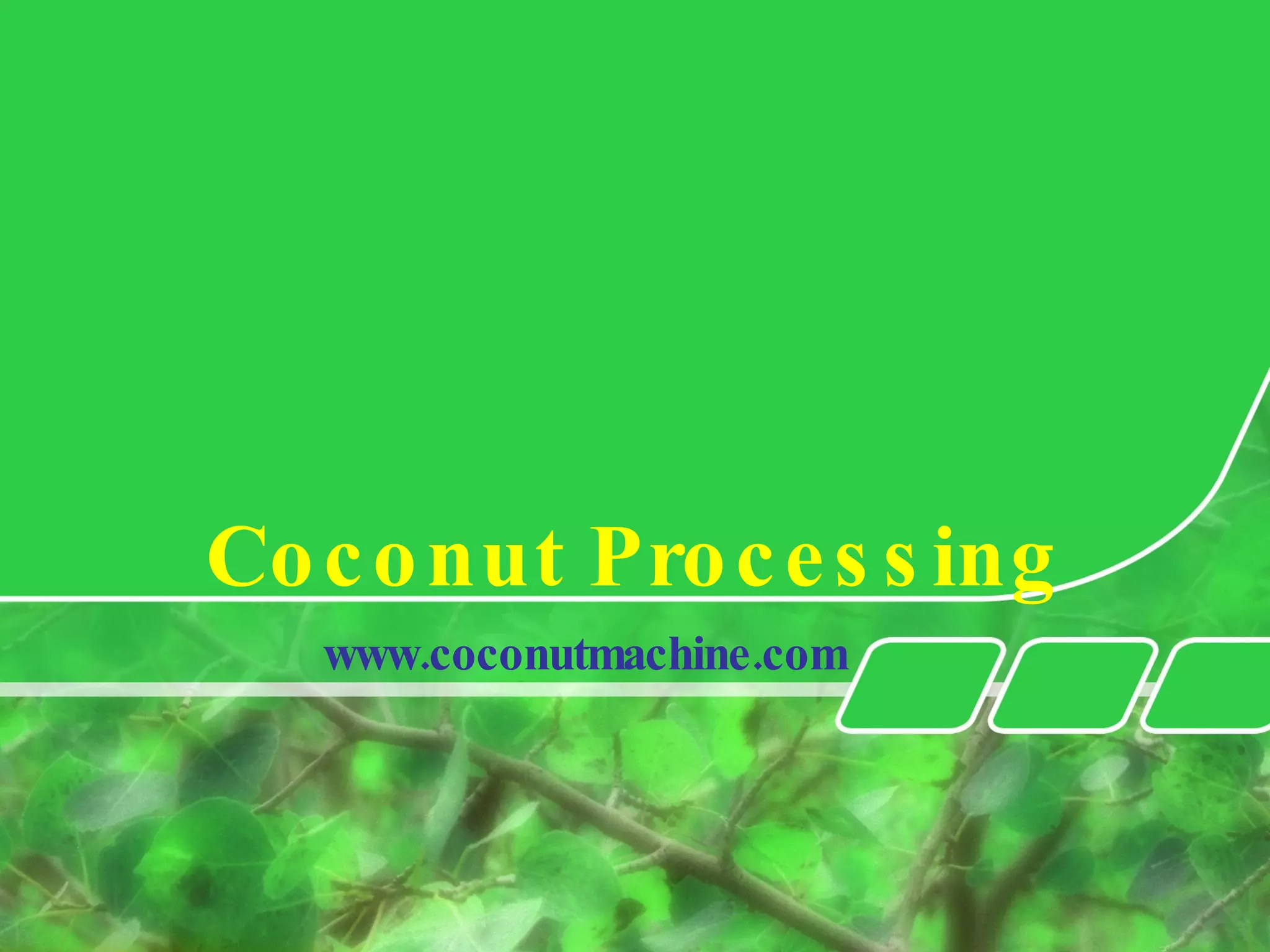 Coconut Processing | PPT