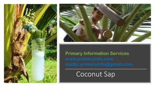 Coconut sap | PDF