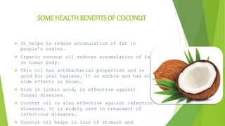 A Note On Coconut Tree | PPTX